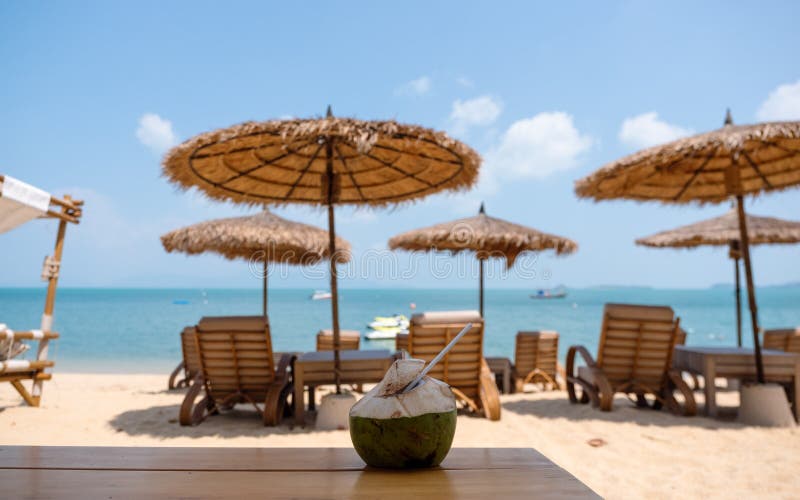 A Fresh Coconut on the Table at Tropical Beach Cafe Stock Image - Image ...