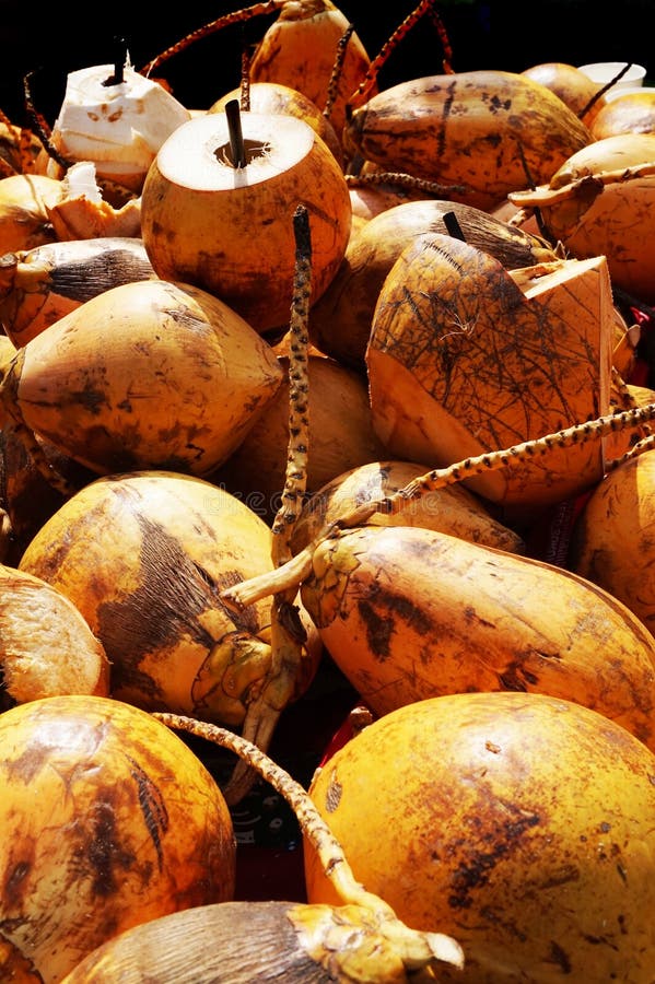 Fresh yellow coconut stock photo. Image of nature, plant - 34262540