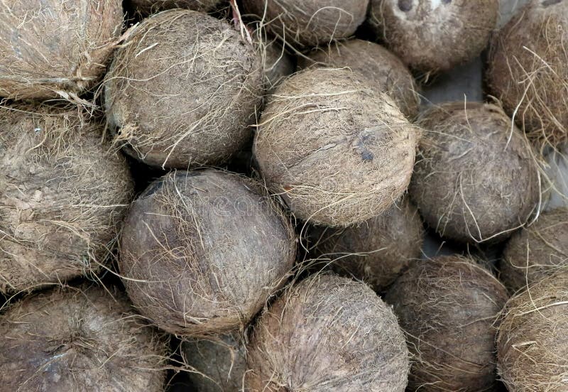 Fresh Coconuts Texture in a Market. Stock Image - Image of meat, fruit ...