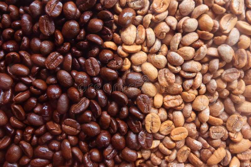 Fresh coffee bean Roasted stock image. Image of coffee - 140540431