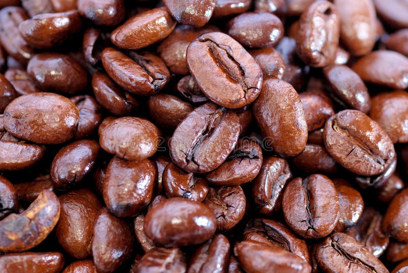 Fresh Coffee Bean Series 03 Stock Photo - Image of coffee, aroma: 10021704