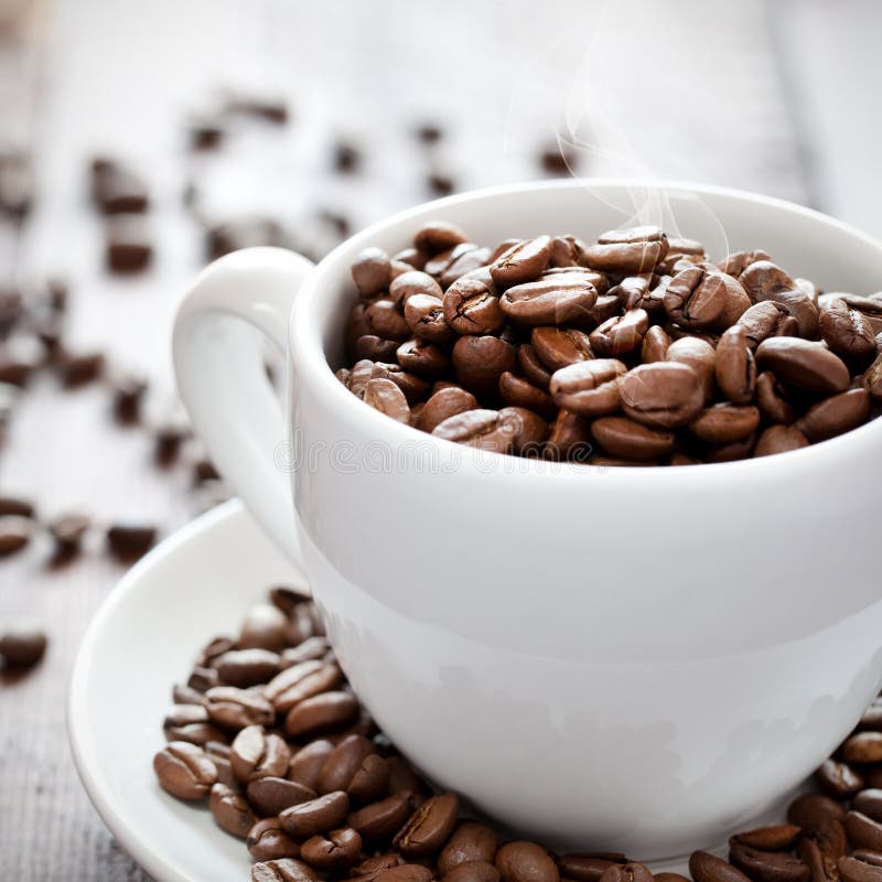 Fresh coffee beans stock image. Image of beans, bean - 19324479