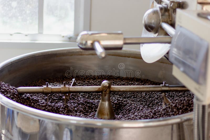 Fresh Coffee Beans in Coffee Roaster Professional Machine at Factory ...