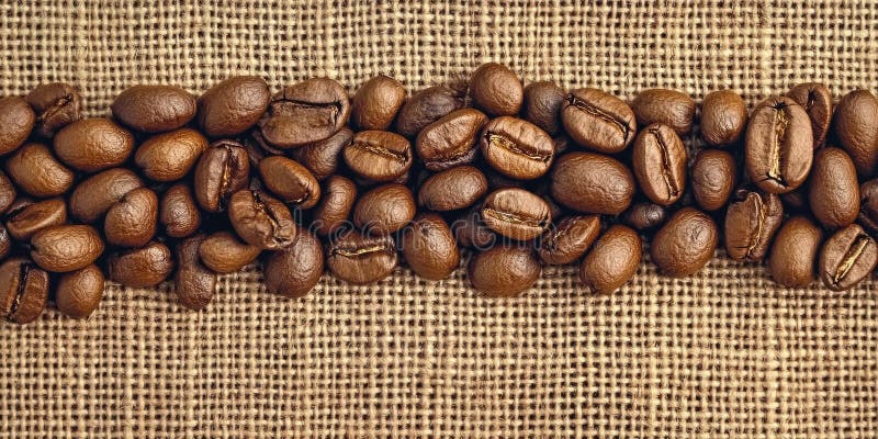Fresh Coffee Beans Spread Across a Jute Bag, Aromatic Coffee Beans ...