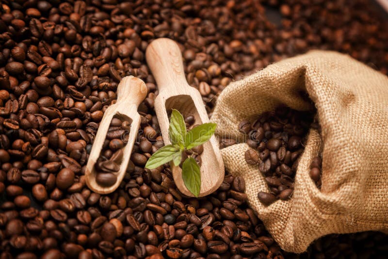 Fresh coffee beens stock image. Image of morning, fresh - 34044233
