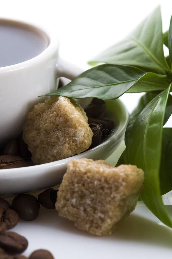 Fresh Coffee with Coffee Branch Stock Image - Image of shop, coffee ...