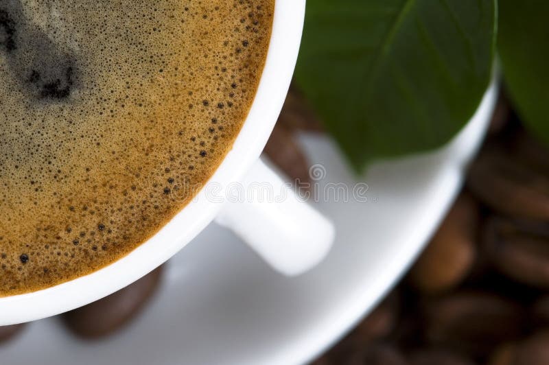 Fresh Coffee with Coffee Branch Stock Image - Image of leaf, caffeine ...