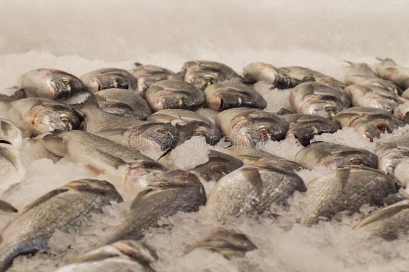 Cold Fish Dishes - Kipper with Potato Stock Image - Image of isolated ...
