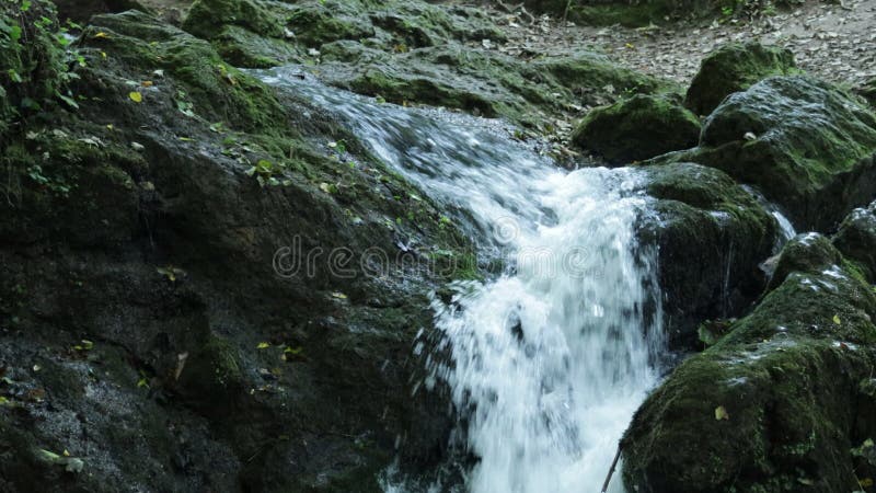 Fresh Cold Forest Stream Floating Down the Rocks Stock Footage - Video ...