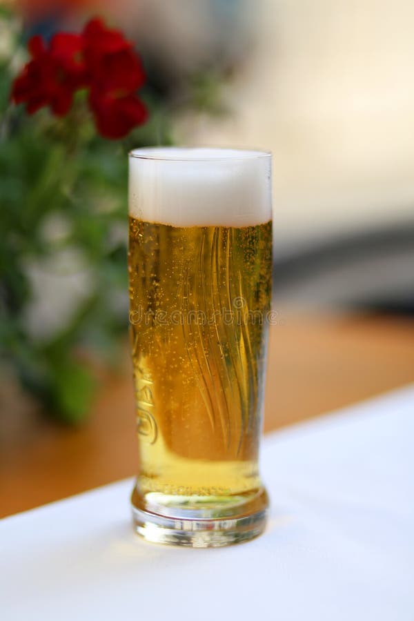 Fresh Cold and Tasty Full Glass of Beer on a Table with Foam Stock ...