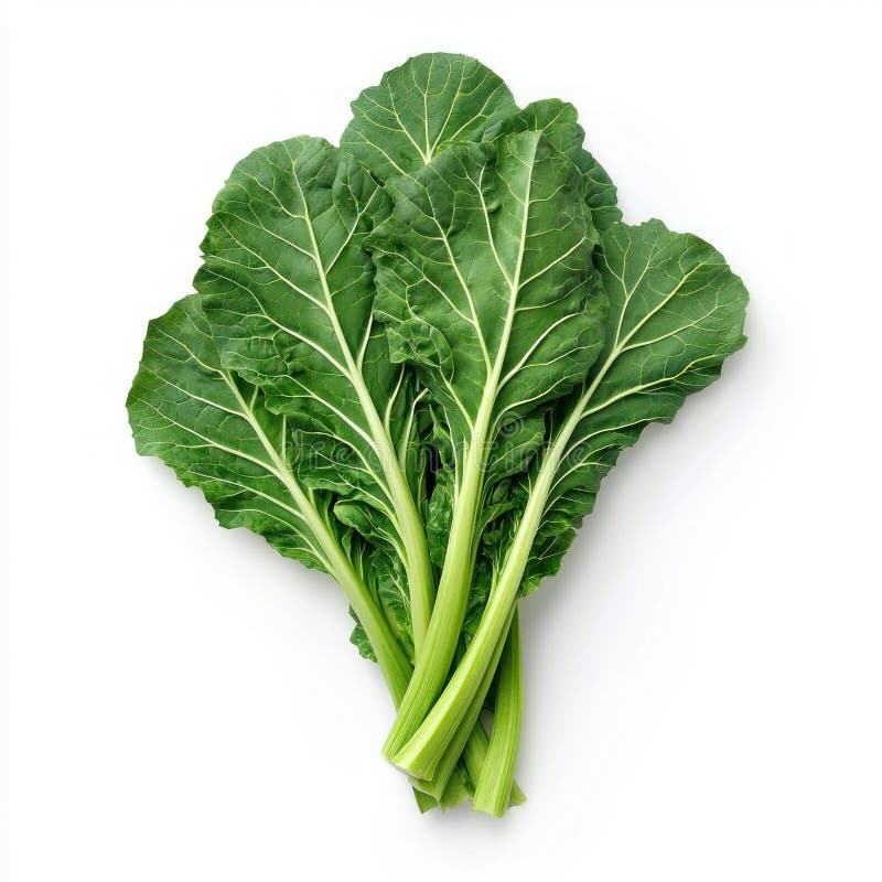 Fresh Collard Greens Bundle Stock Image - Image of produce, plant ...