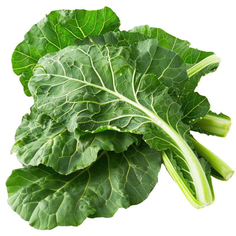 Fresh Collard Greens Isolated on White Background. Healthy Ingredient ...