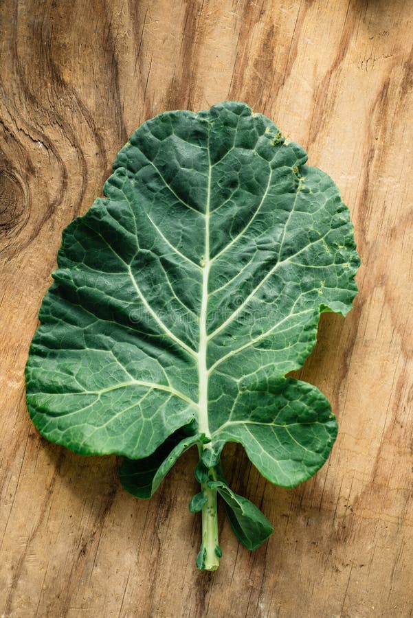 Fresh Collard Greens Growing Stock Photo - Image of garden, leaf: 124820680