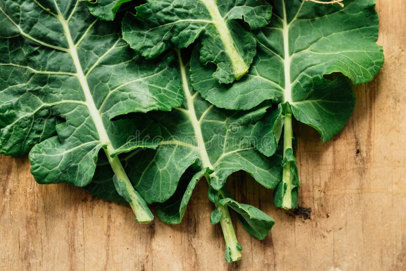 Fresh Collard Greens Growing Stock Photo - Image of garden, leaf: 124820680