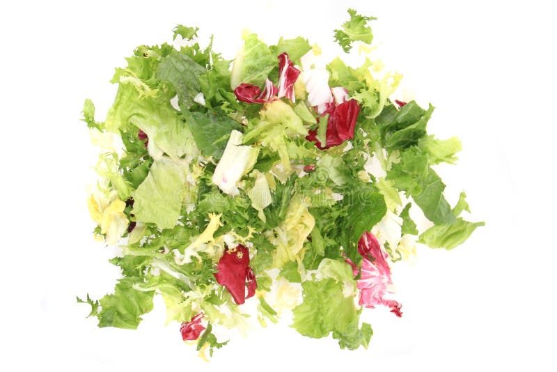 Fresh color lettuce stock image. Image of isolated, background - 89564777