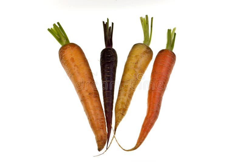 Fresh Colored Carrots stock photo. Image of organic, colorful - 35825944