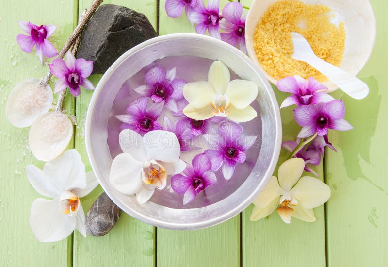 Floating Orchids stock photo. Image of orchid, dish, magenta - 1899974