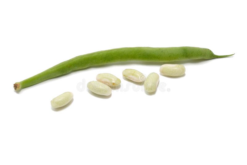 Common Beans or Whole Green Beans Phaseolus Vulgaris on Display To Be ...