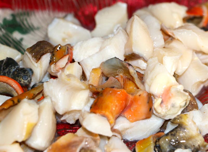 Fresh Conch Ceviche stock photo. Image of crustacean - 60503884