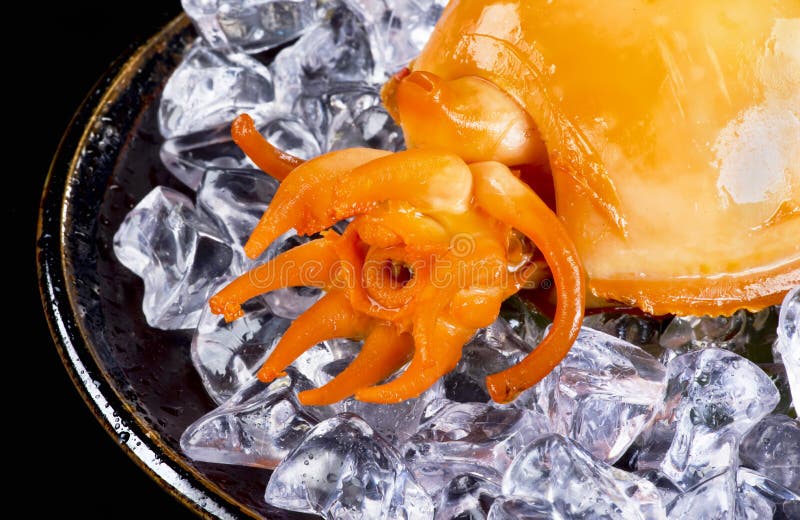 Giant Cuttle Fish Stock Photos - Free & Royalty-Free Stock Photos from ...