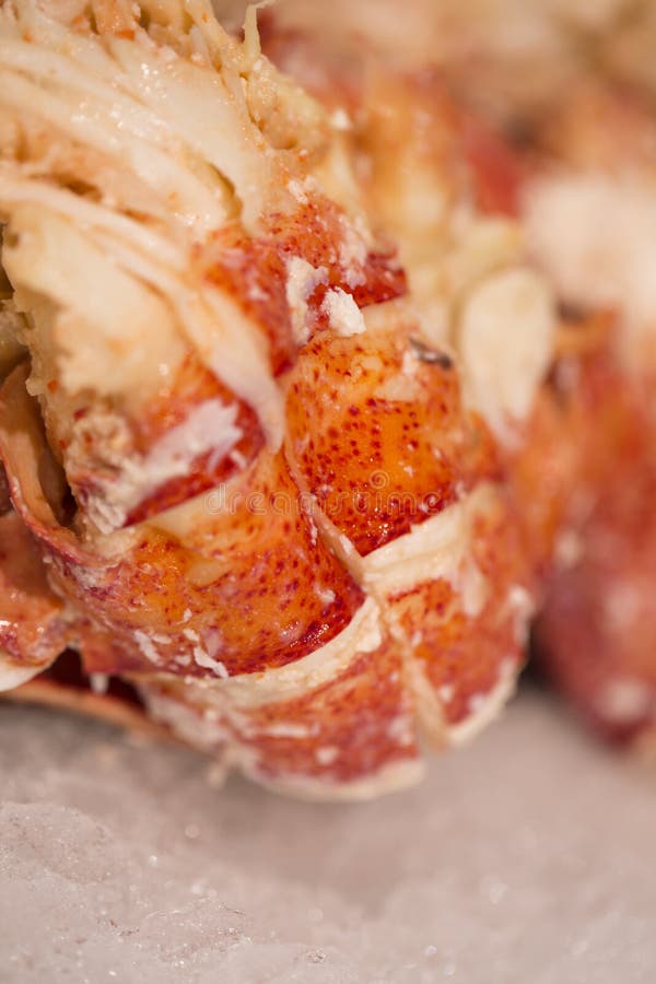 Fresh Cooked Lobster Meat at Seafood Market Stock Image - Image of ...
