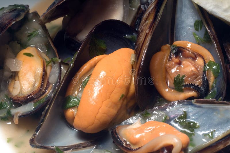 Mussels stock photo. Image of garlic, delicious, shellfish - 1235740