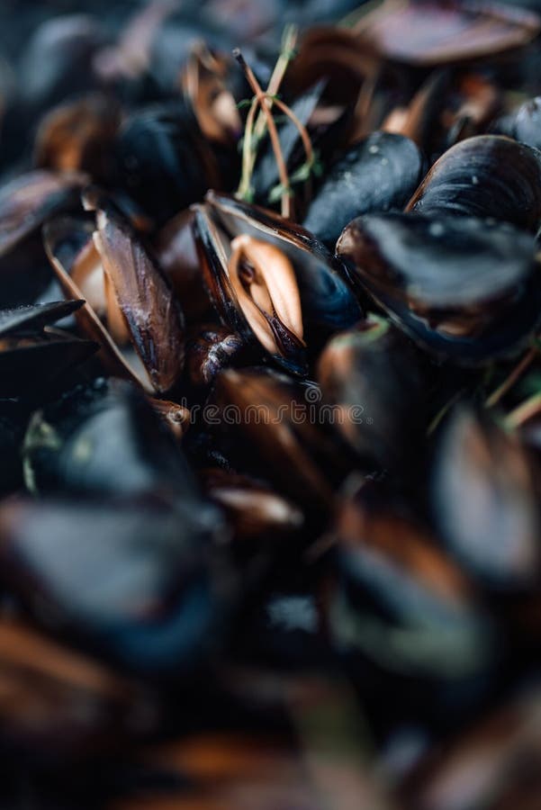 Fresh Cooked Mussels in Herbs Close-up Stock Photo - Image of dinner ...