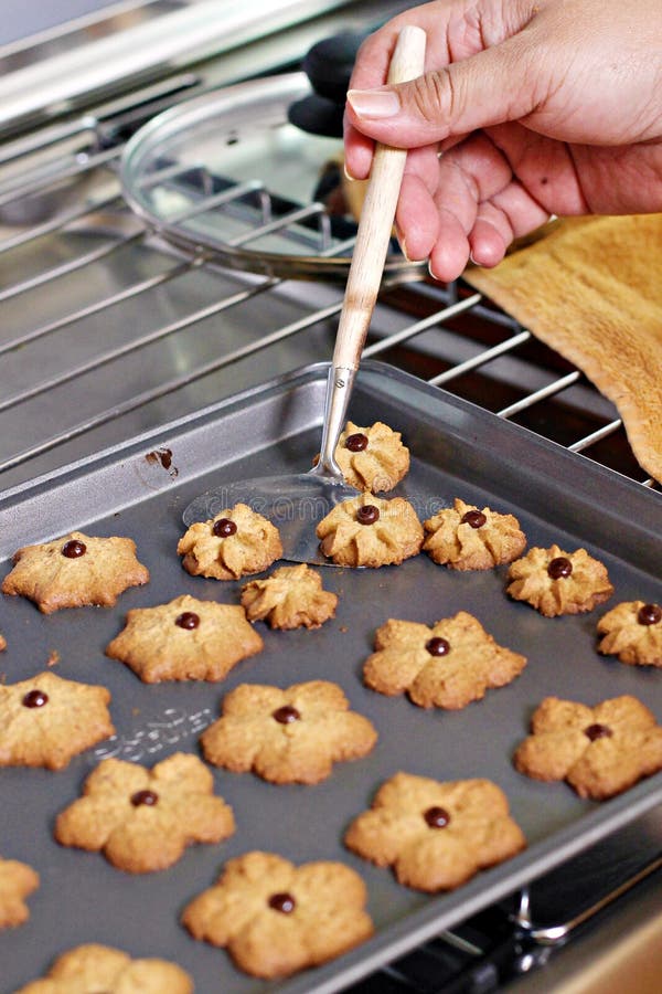 Fresh cookies stock photo. Image of cooking, cook, metal - 28914846