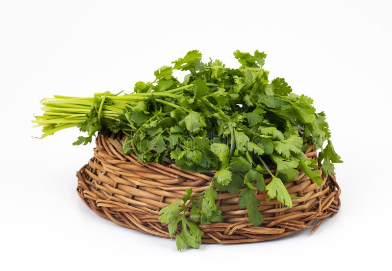 257 Indian Plant Dhaniya Stock Photos - Free & Royalty-Free Stock ...