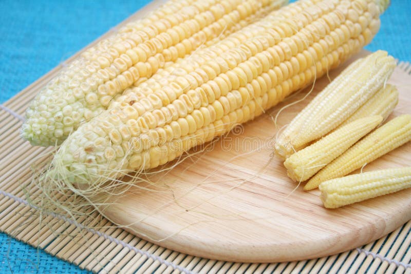 Fresh corn stock photo. Image of food, healthy, gold - 11489874