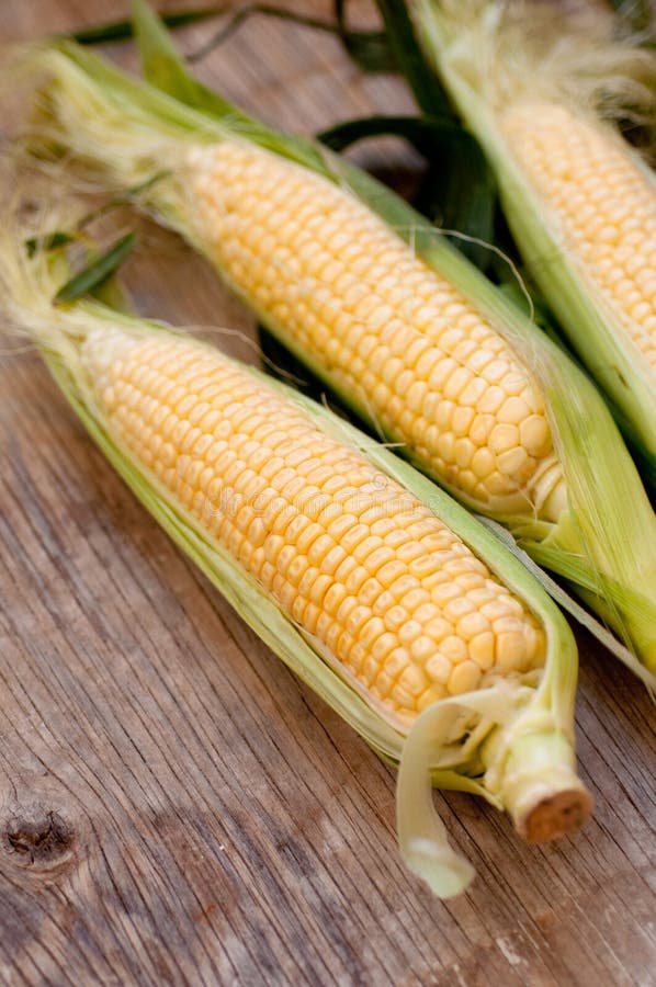 Fresh corn with us flags stock image. Image of agriculture - 25545259
