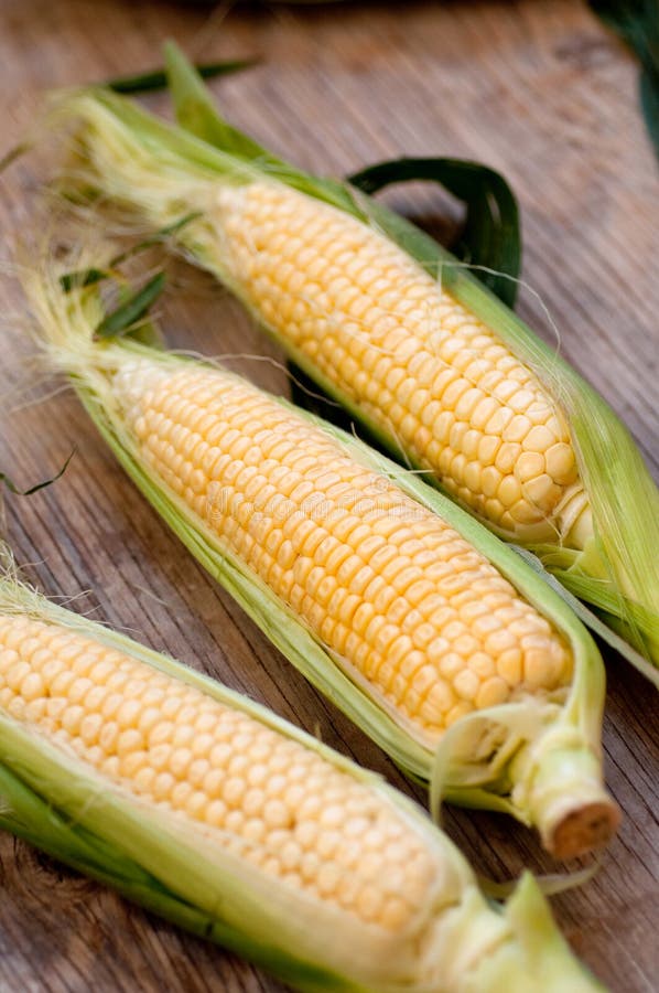 Fresh corn stock image. Image of organic, ripe, natural - 15234797