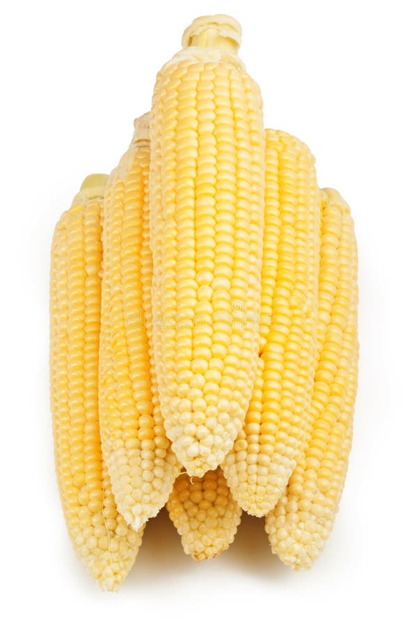 Fresh corn stock image. Image of background, corn, healthy - 25774279