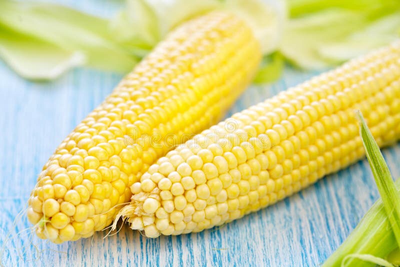 Fresh corn stock image. Image of green, seed, agriculture - 27230227