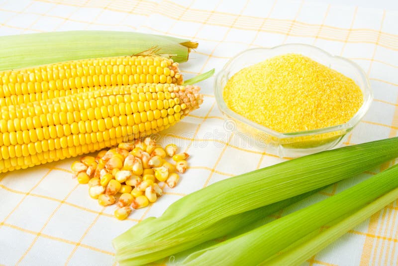 Fresh corn stock photo. Image of sweet, organic, snack - 6207314