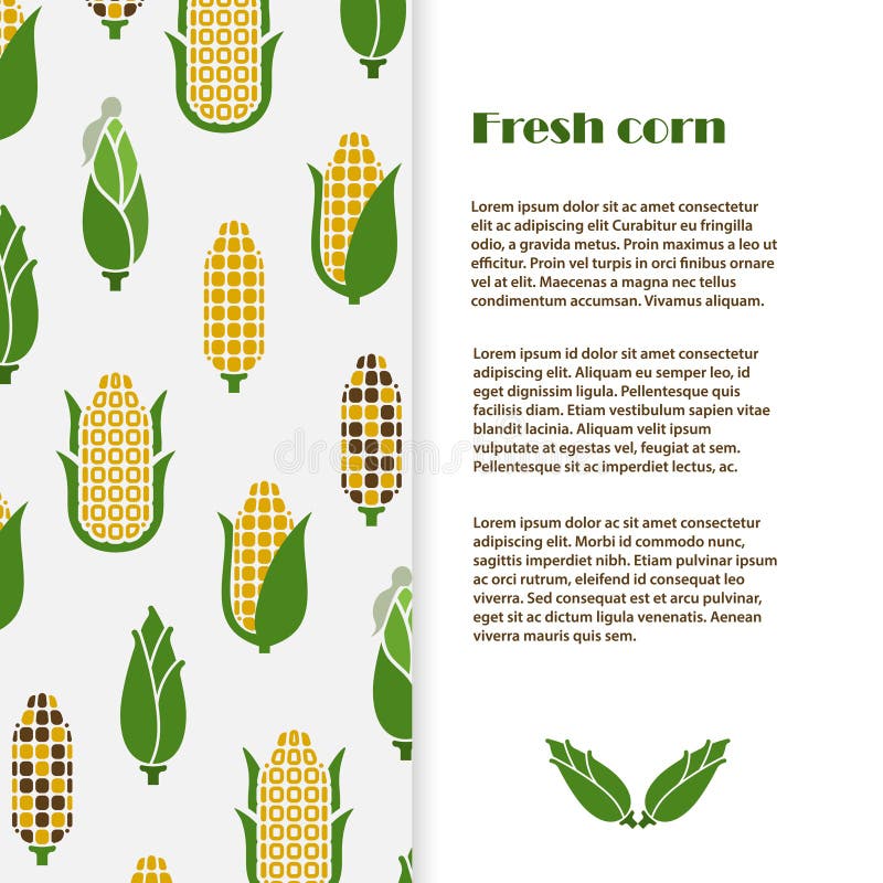 Fresh Corn Banner Template Design. Vector Harvest Flyer Stock Vector ...