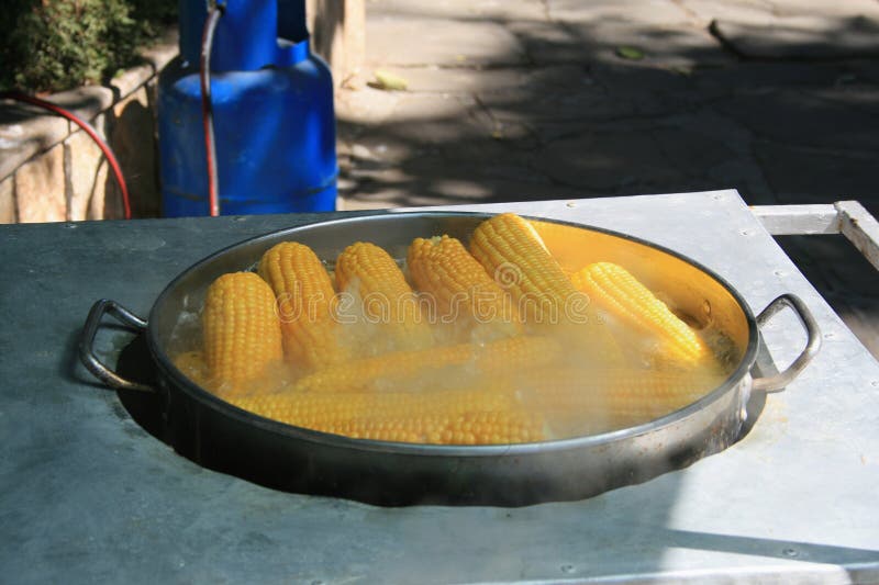 Fresh Corn Boiling in a Large Pot Stock Photo - Image of meal, fresh ...