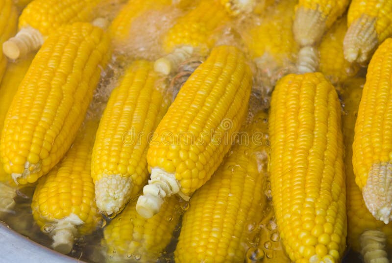Fresh Corn in Boiling Water Stock Photo - Image of boil, fresh: 21100788