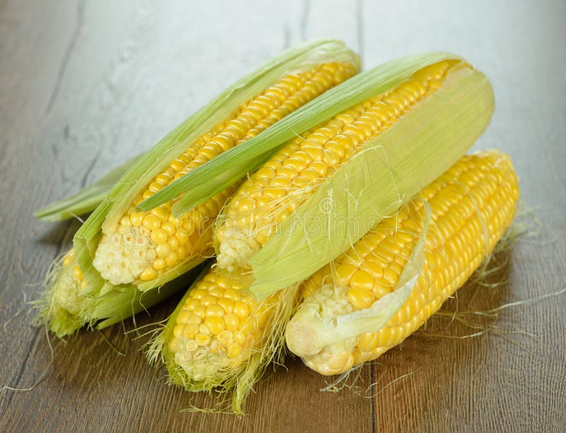 Fresh corn stock image. Image of vegetarian, harvest - 31756297