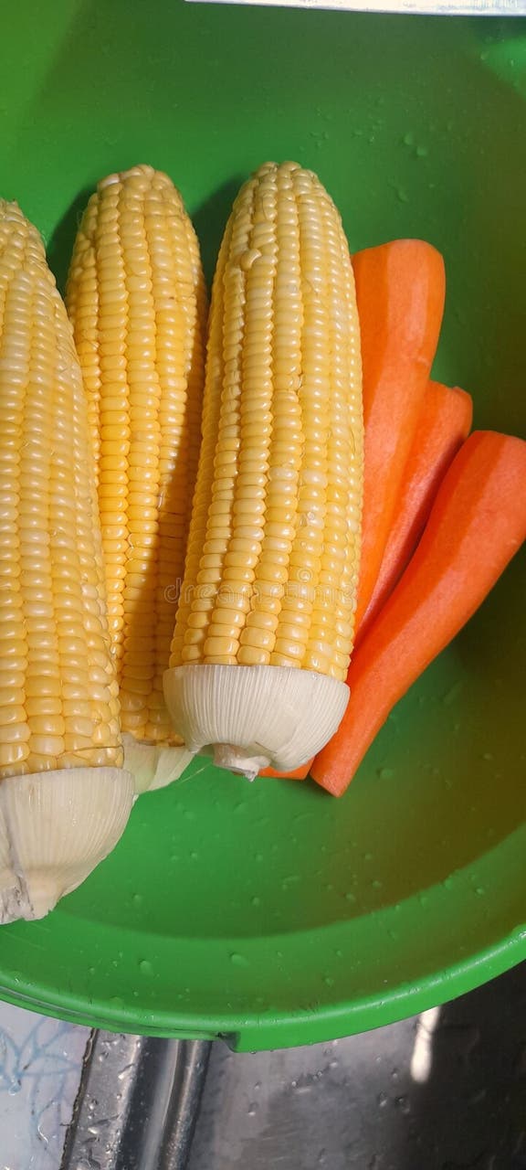 Fresh Corn and Carrots in a Container Stock Image - Image of corn ...