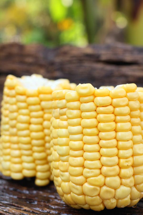 Fresh corn stock photo. Image of golden, healthy, food - 38316718