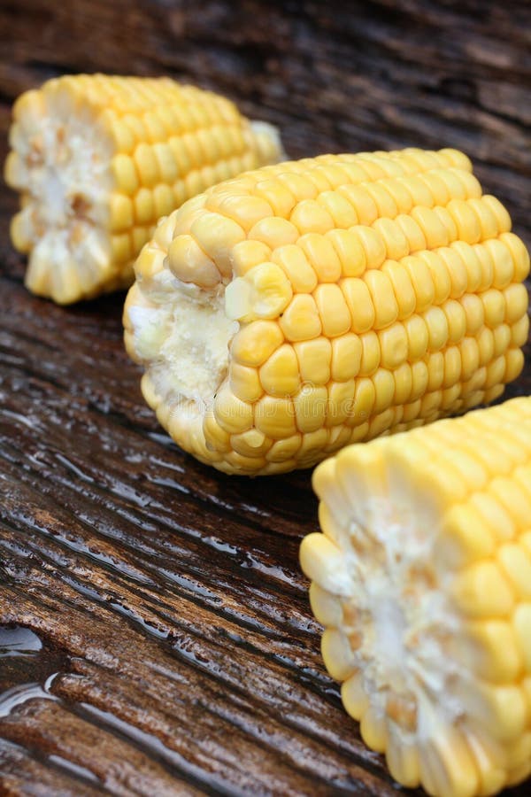 Fresh corn stock image. Image of farm, healthy, freshness - 38333137
