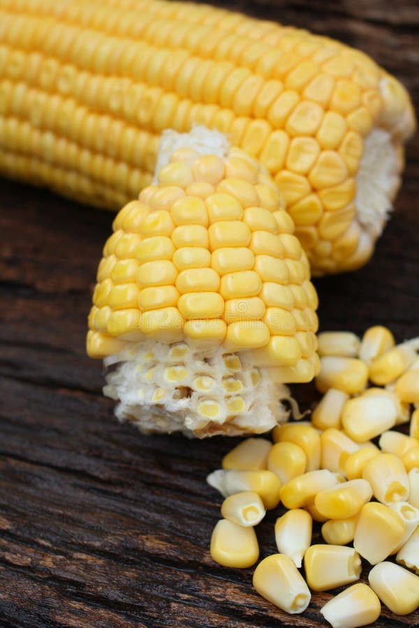 Fresh corn stock image. Image of green, fresh, farm, golden - 38364793