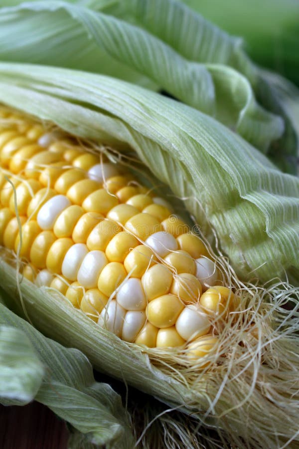 724 Half Corn Cob Stock Photos - Free & Royalty-Free Stock Photos from ...
