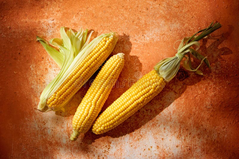 Fresh corn with us flags stock image. Image of agriculture - 25545259