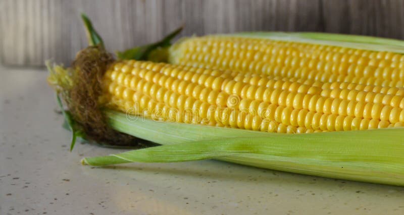Fresh Corn on the Cob on the Table, Close-up Stock Image - Image of ...