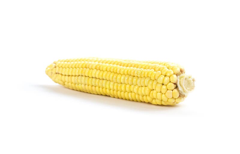 Fresh Corn Cob on White Background Stock Photo - Image of healthy ...