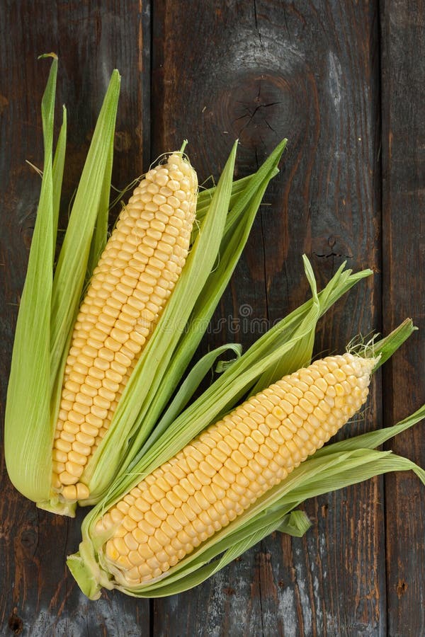 Fresh Corn Cobs stock image. Image of cereal, golden - 25535061