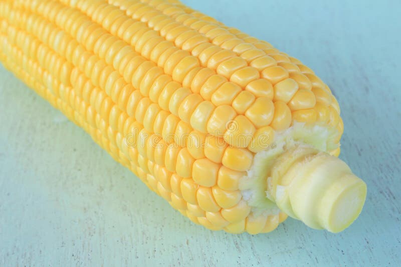 Fresh corn cobs stock image. Image of natural, agriculture - 39724013
