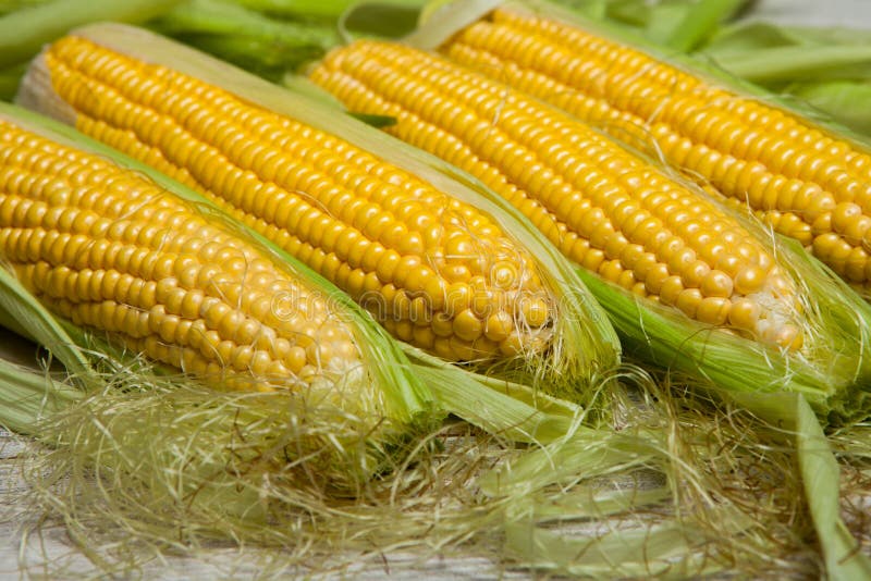 Fresh Corn on Cobs on Rustic Wooden Table, Close Up. Sweet Corn Ears ...